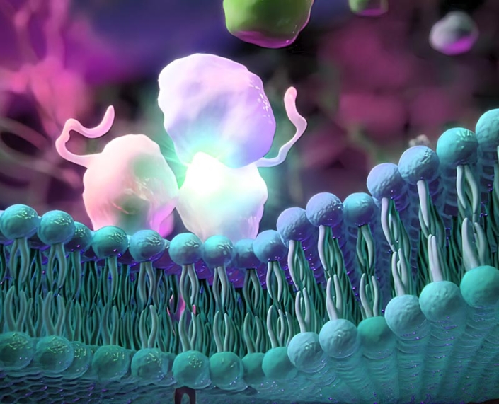 Science – Autifony Therapeutics